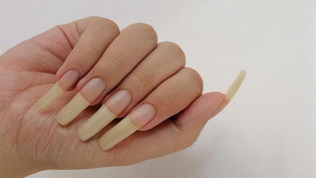 Hand Models, girls with long nails